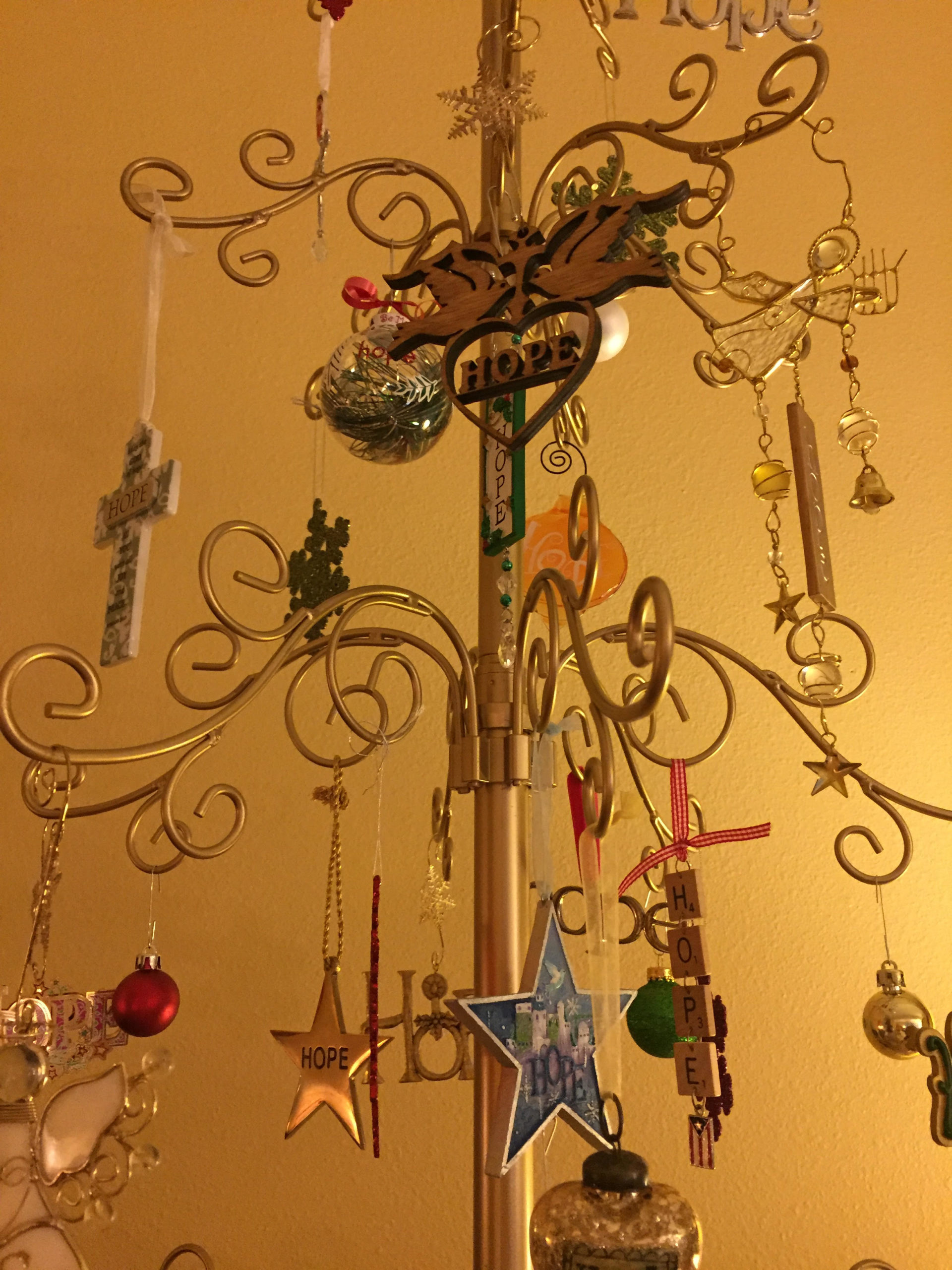 HOPE Found a Way – Gigi Murfitt