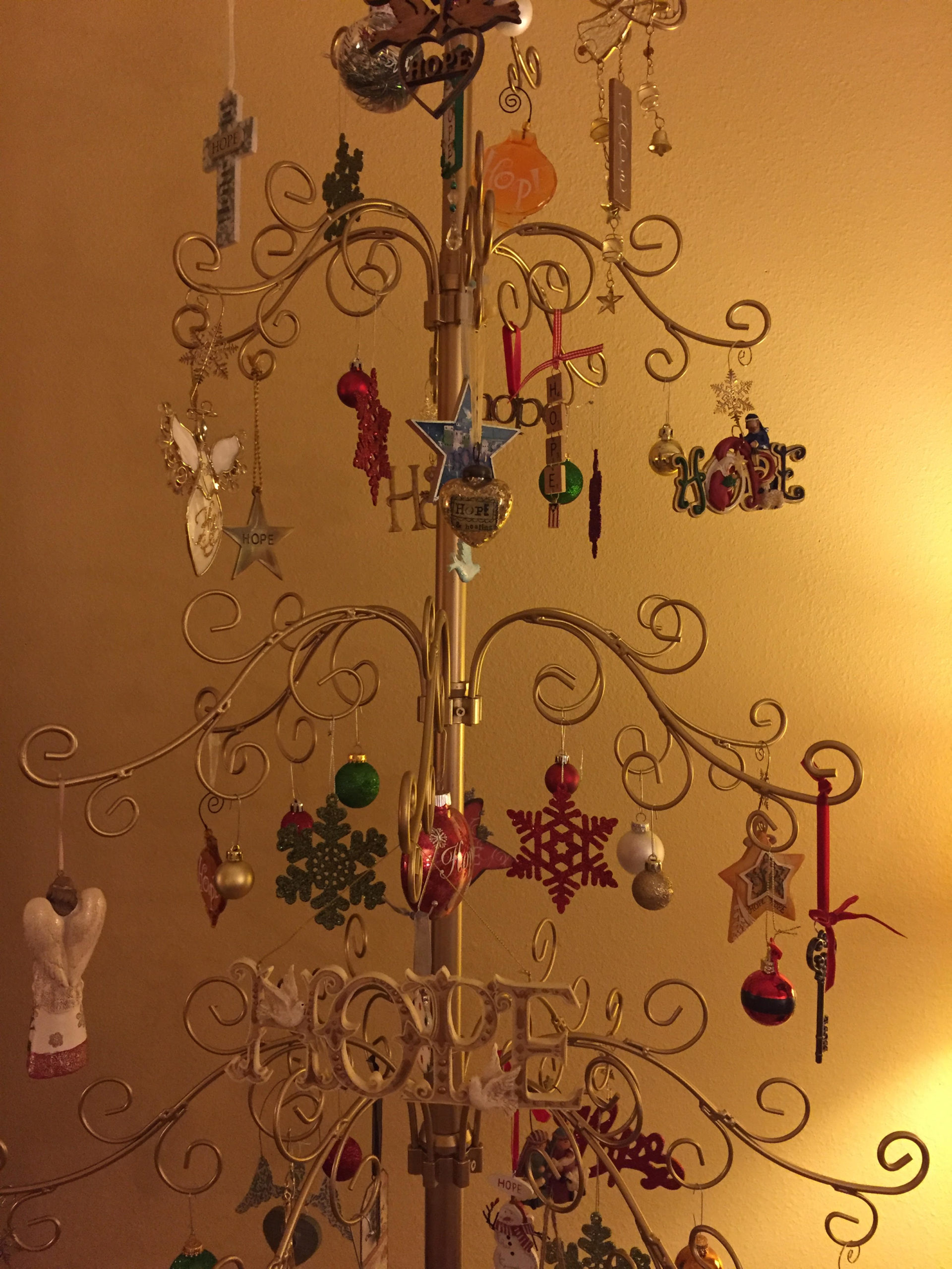 HOPE Found a Way – Gigi Murfitt